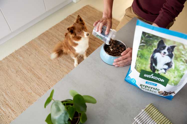 Blije en gezonde hond - Welkoop