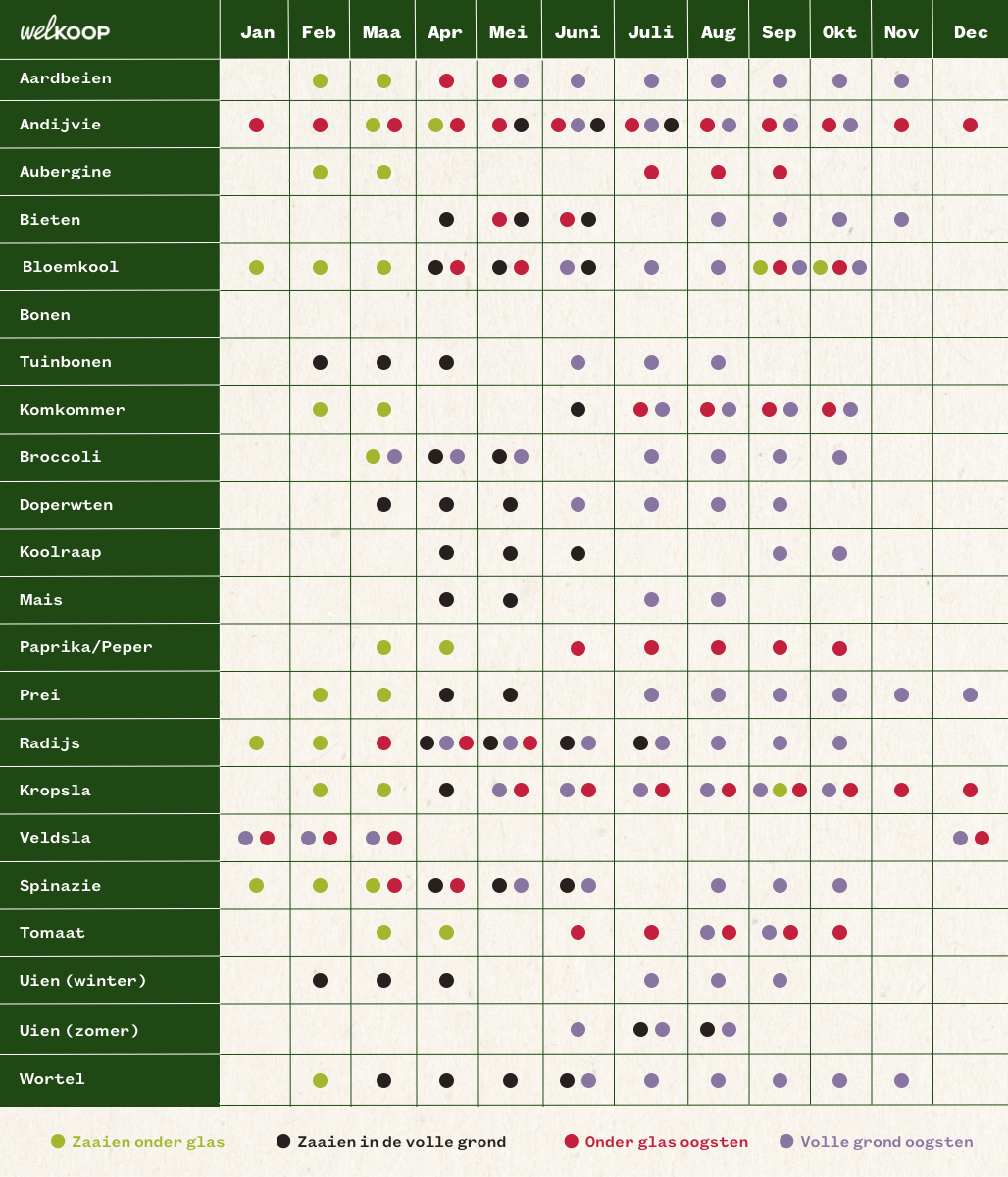 Zaaikalender voor je moestuin - Welkoop